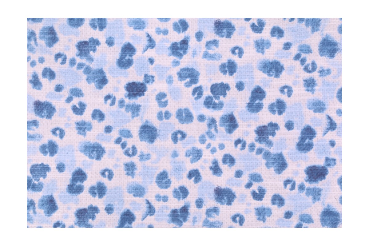 Kelly Ripa Home Chit Chat Printed Cotton Drapery Fabric in Bluebell