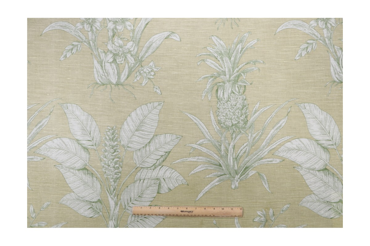 11 Yards Thibaut Tropical Toile F99798 Printed Drapery Fabric in Green